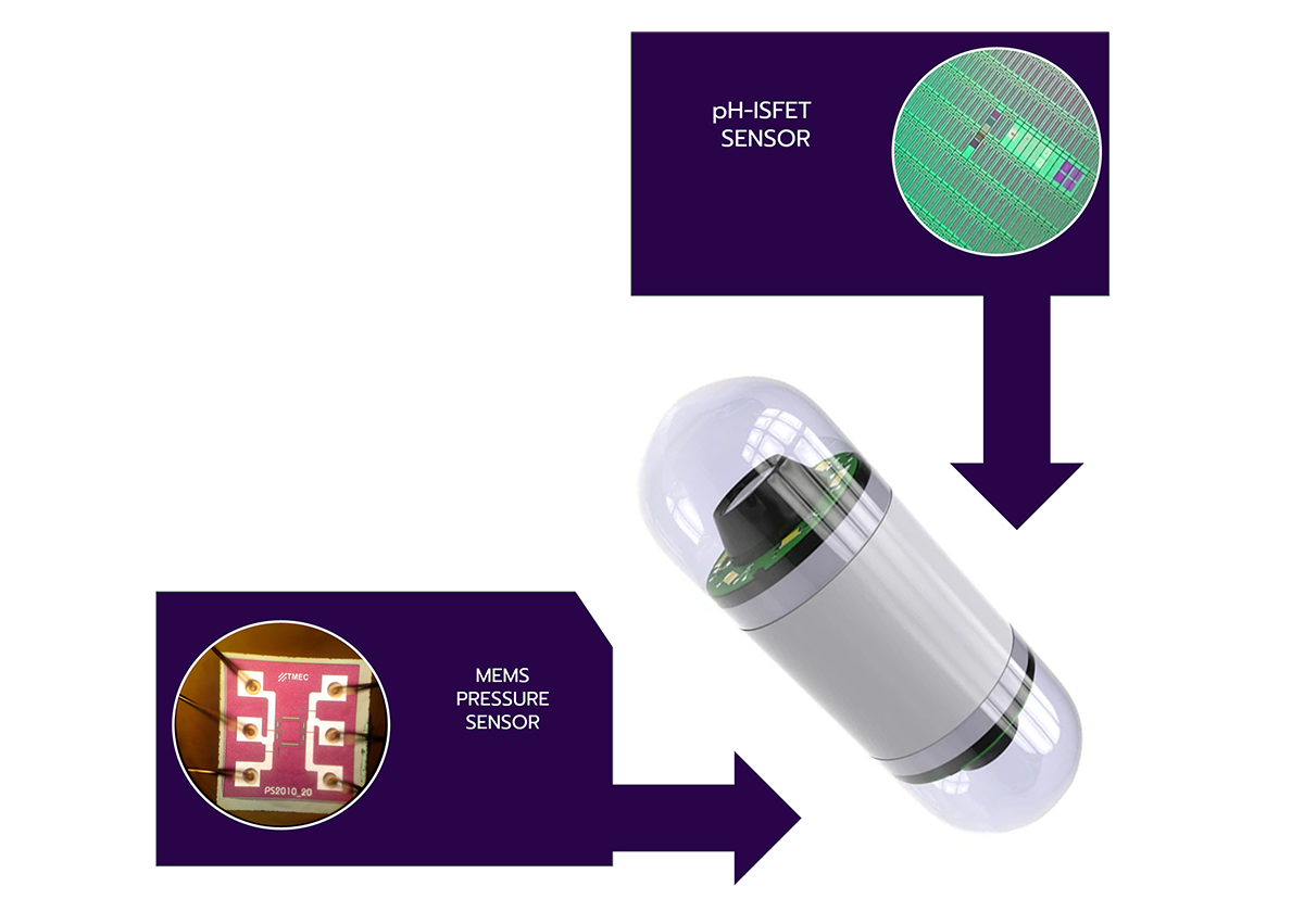 Smart Capsule : สมาร์ตแคปซูลเพื่อการตรวจวินิจฉัยระบบทางเดินอาหาร ...