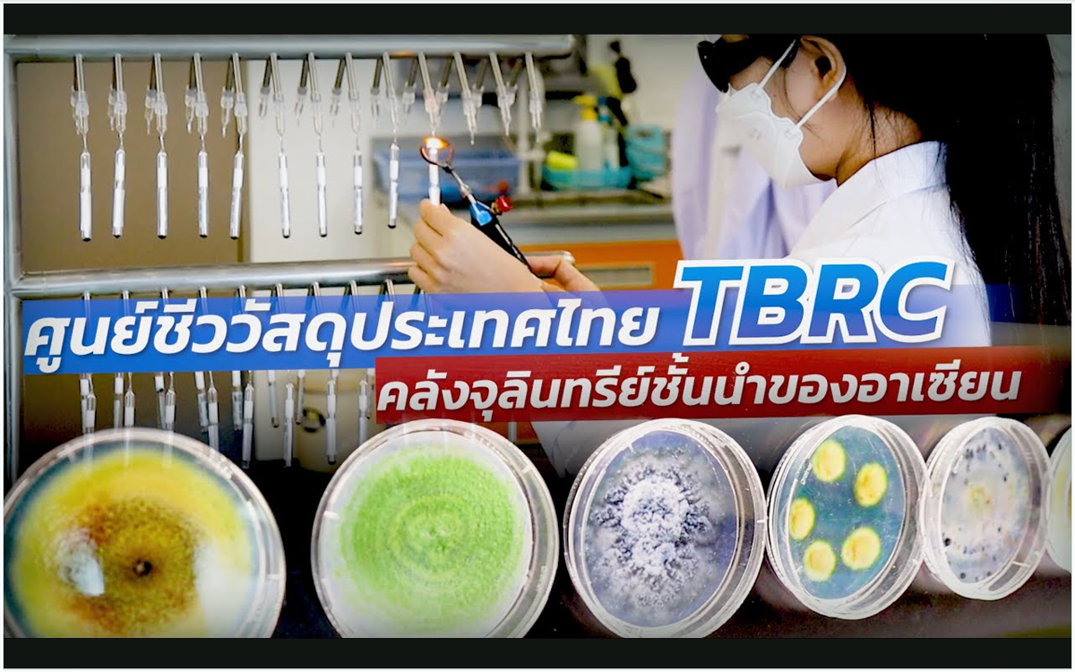 TBRC ศูนย์ชีววัสดุประเทศไทย คลังจุลินทรีย์ชั้นนำของอาเซียน - Thailand ...